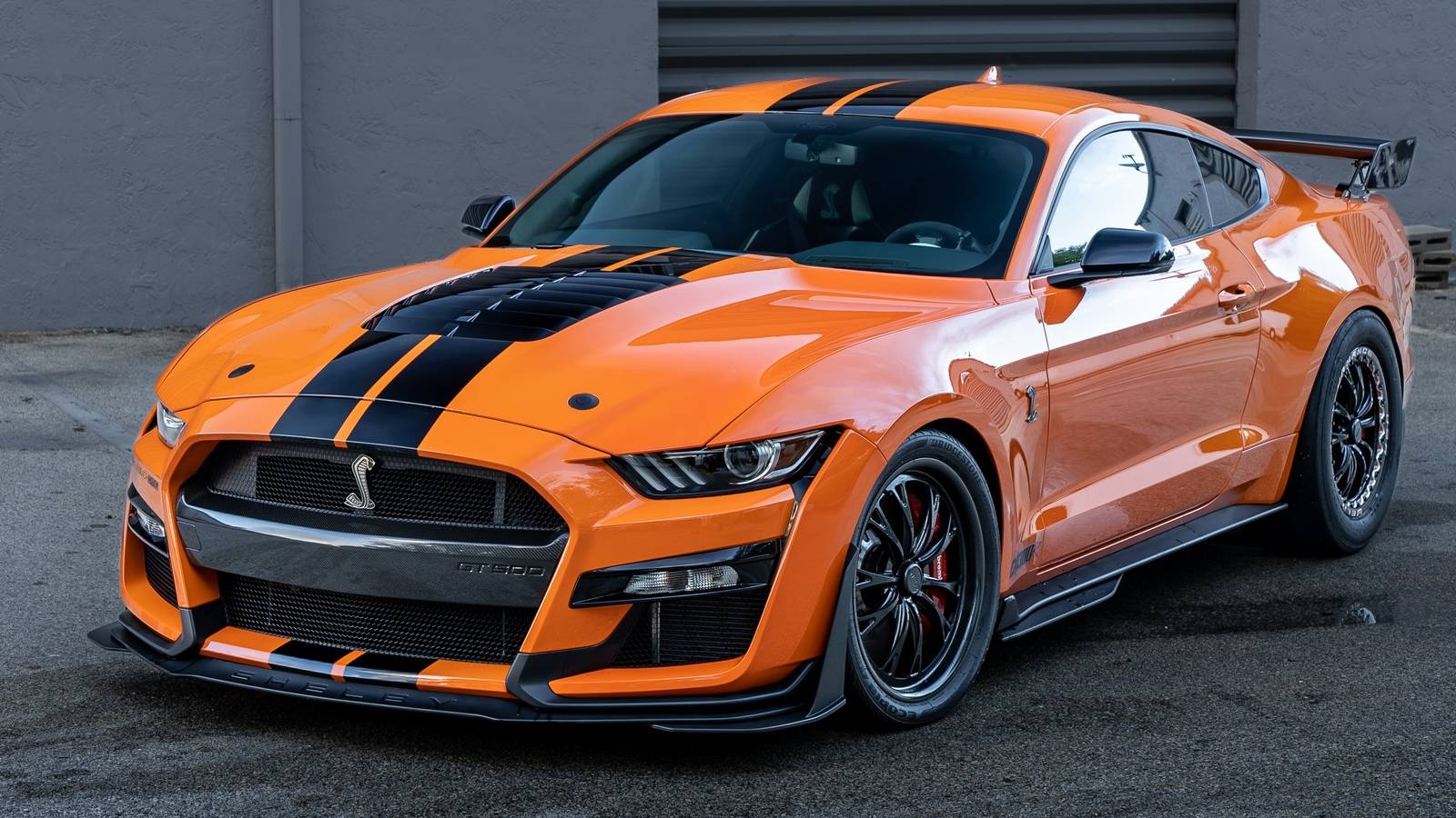 Palm Beach Dyno Turned this Shelby GT500 Into the Holy Grail of Horsepower