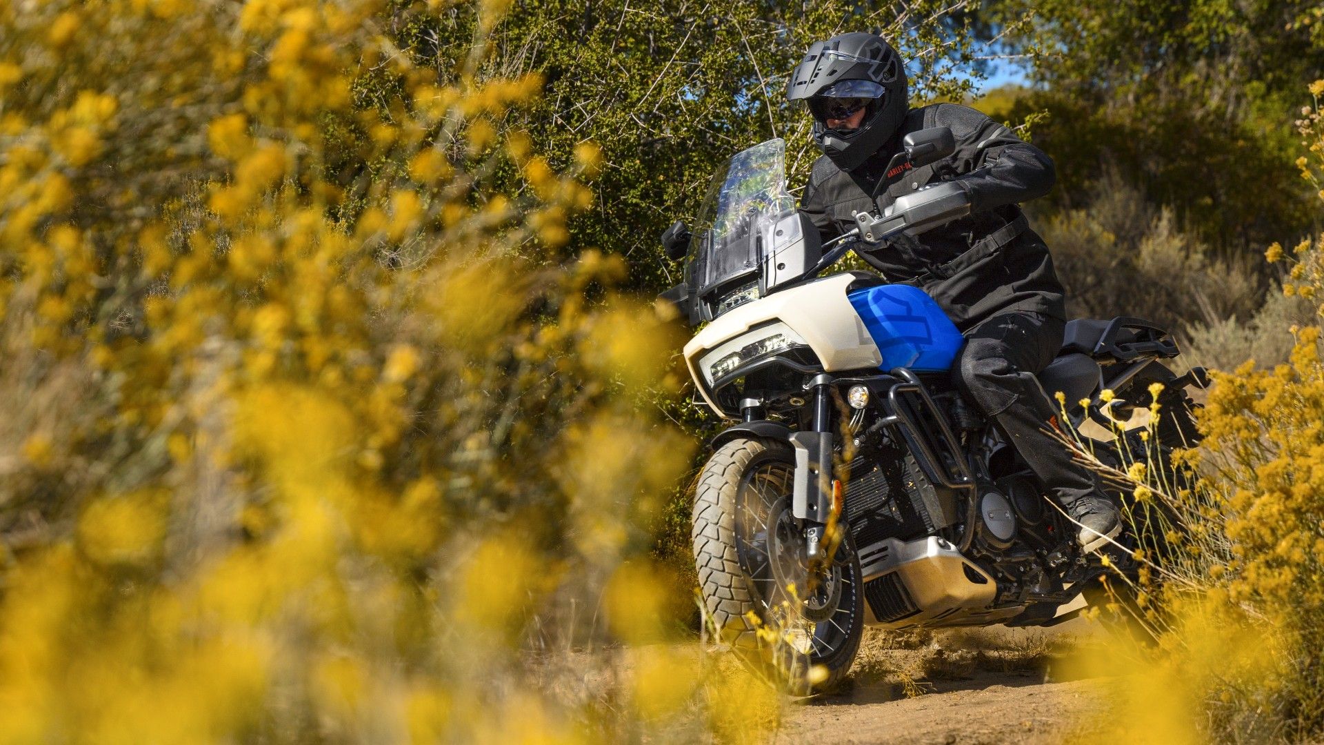 Royal Enfield Super Meteor 650 Vs Harley Davidson's Middleweight Bikes