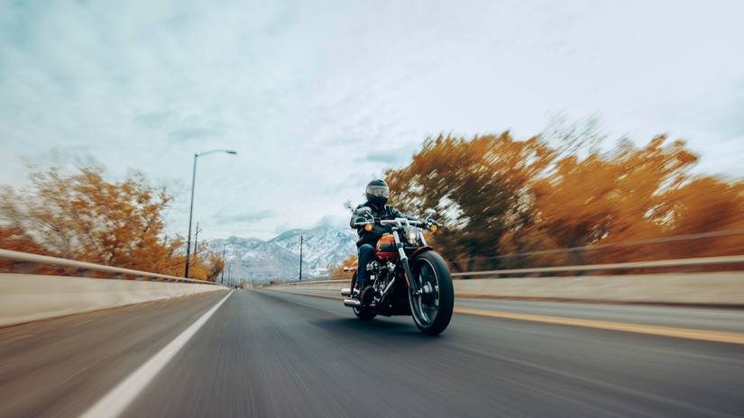 10 Stylish Harley-Davidson Models For The Modern Rider