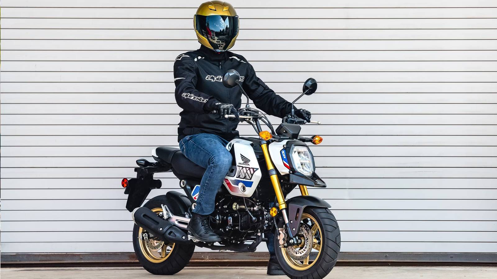 10 Reasons Why The Honda Grom Is The Best Mini Bike