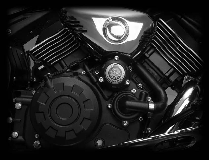 This Chinese Cruiser Is An Odd Fusion Of Two Popular Harley-Davidsons