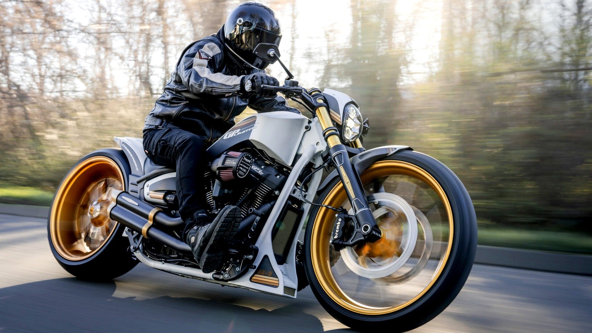 2024 Harley-Davidson Breakout 117 | TopSpeed