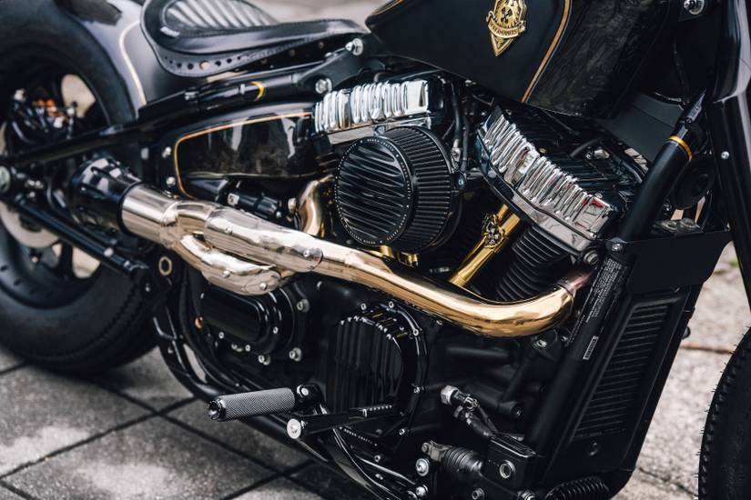 This Custom Harley-Davidson Is So Outrageous, We Bet You Can’t Identify ...