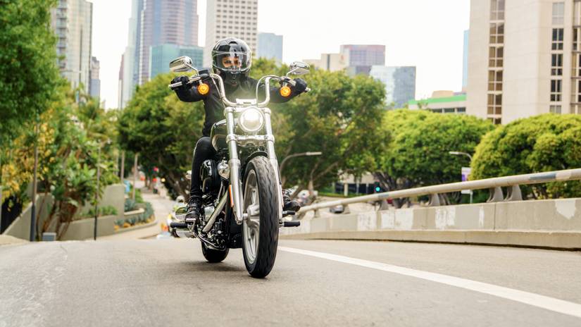10 Things We Like About The Harley-Davidson Softail Standard