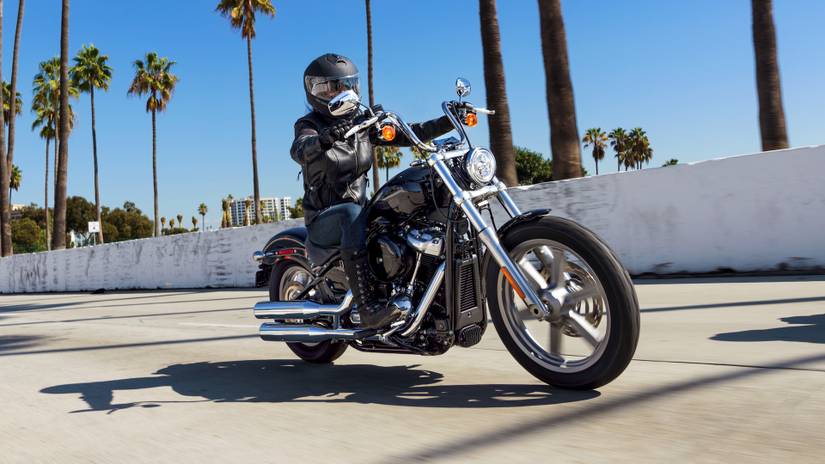 10 Things We Like About The Harley-Davidson Softail Standard