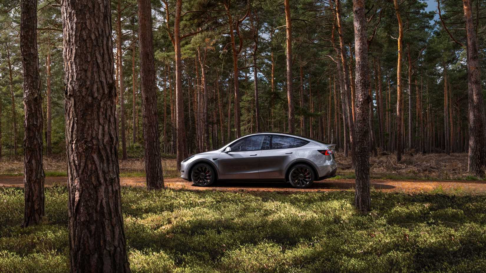 The Best Year For The Tesla Model Y