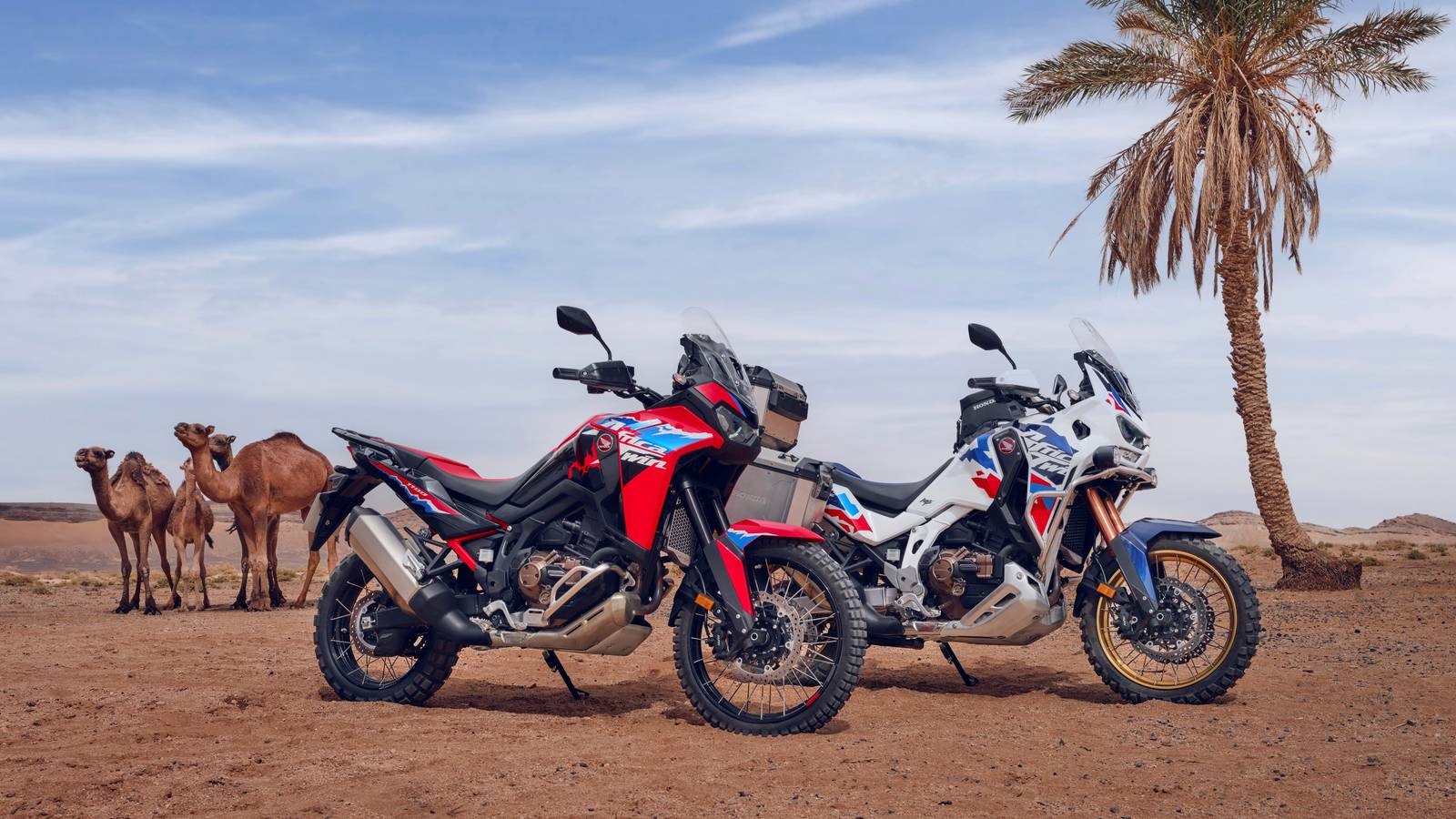 2024 Honda Africa Twin: Everything You Need To Know