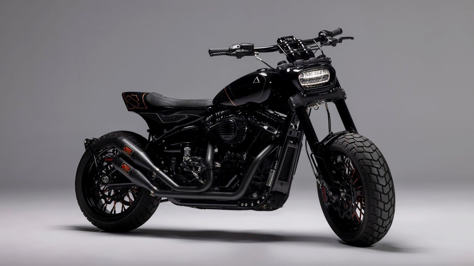 This Harley-Davidson Snow Bike Is Simply Bonkers