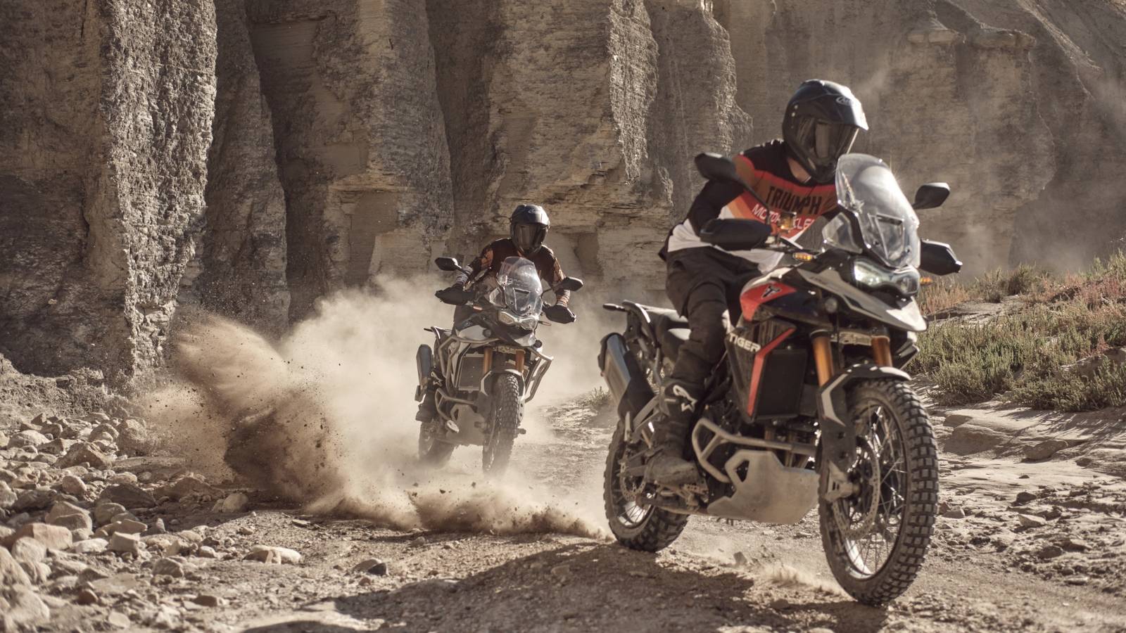 10 Reasons Why The 2024 Triumph Tiger 900 Rally Pro Should Be Your ...