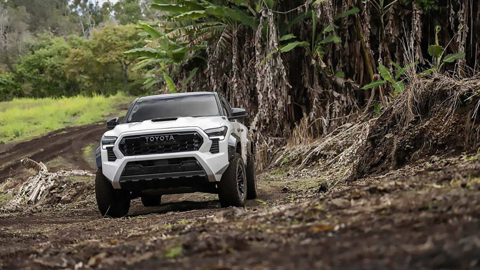 The Cheapest Toyota in Every Segment: Best Budget-Friendly Toyota Models