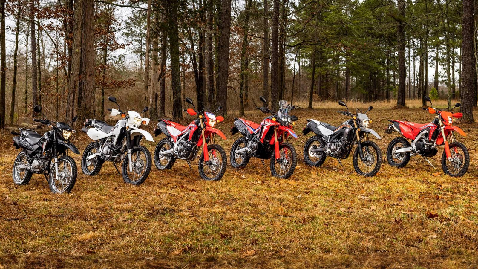Every Honda Dual Sport Bike, Ranked By Power