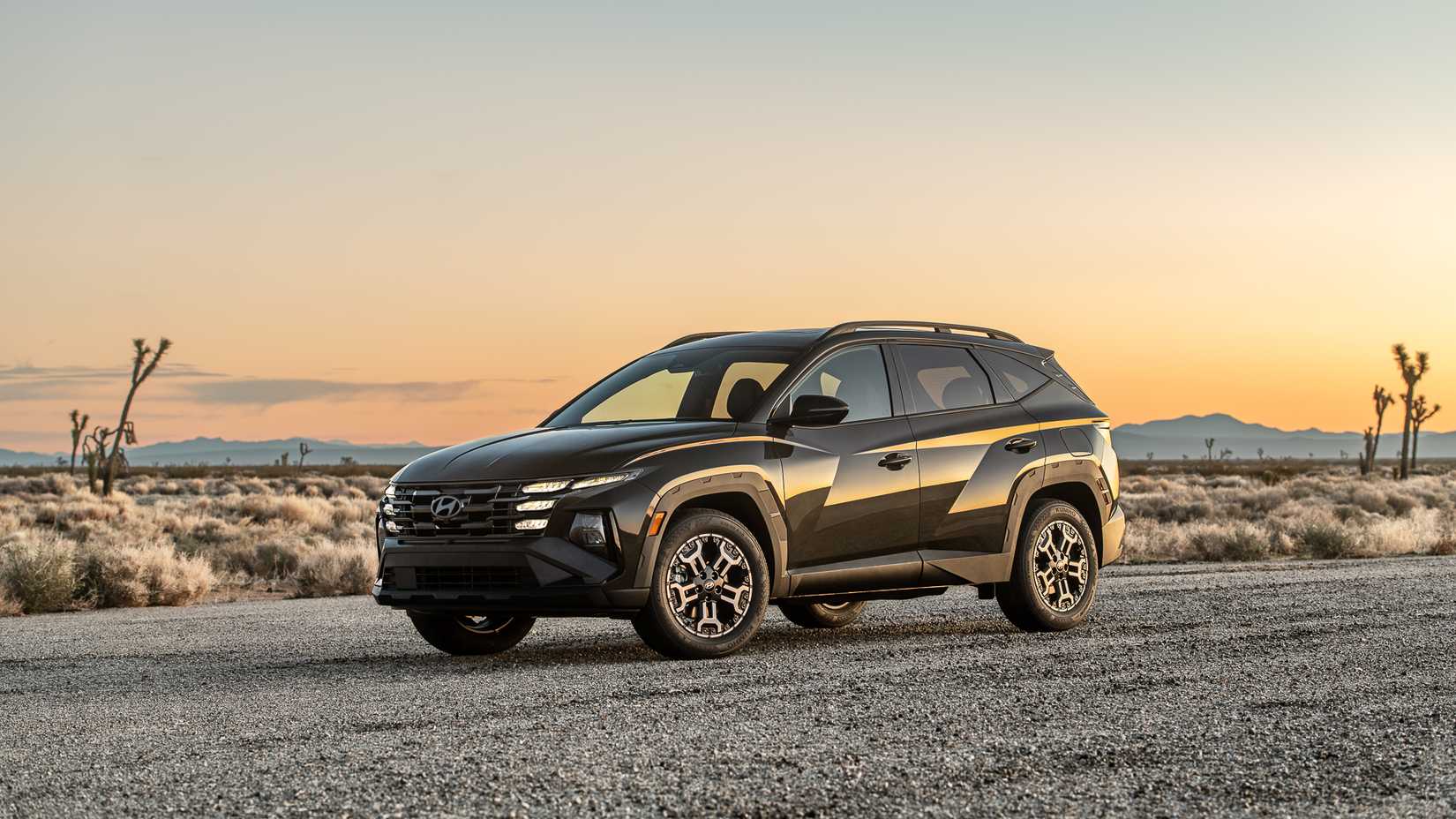 2025 Hyundai Tucson Interior And Exterior Picture Gallery
