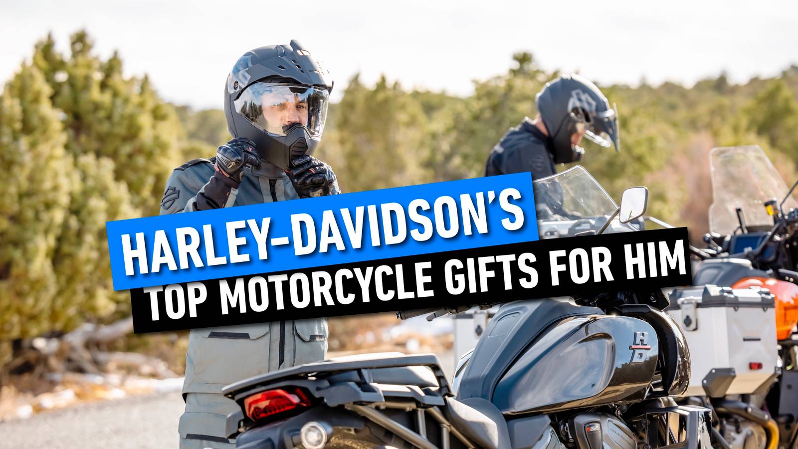 Top 10 Harley-Davidson Motorcycle Gifts For Him