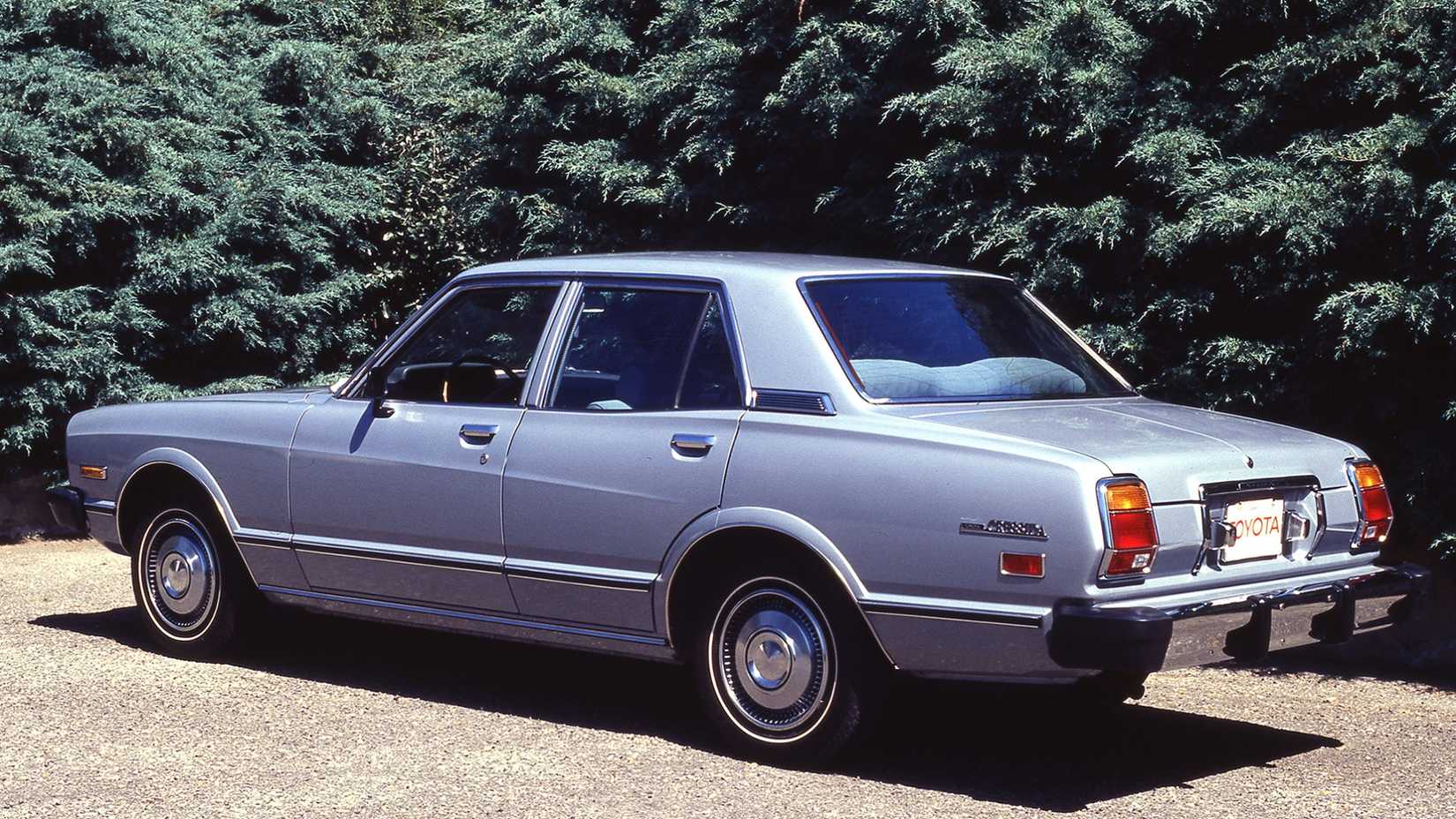 cressida wheelwright