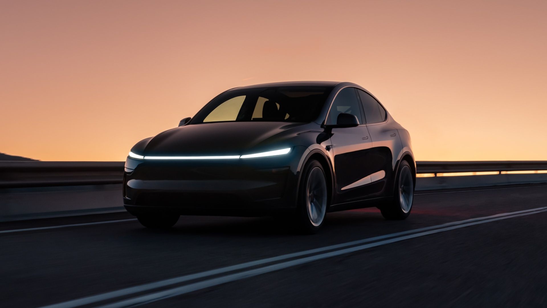 Alpha Wolf: Everything We Know So Far