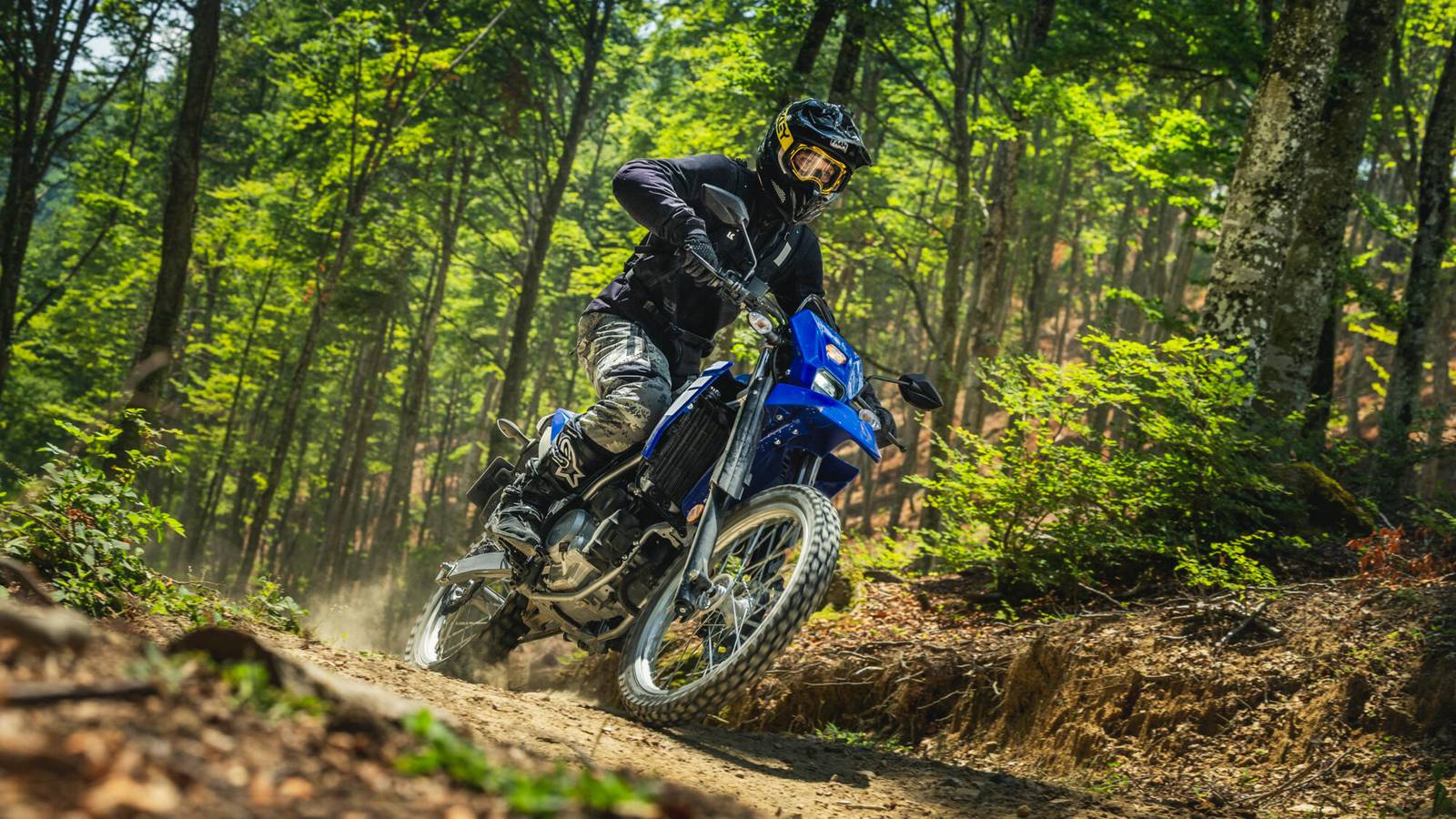 The Perfect Beginner Yamaha Dual-Sport That Americans Will Crave