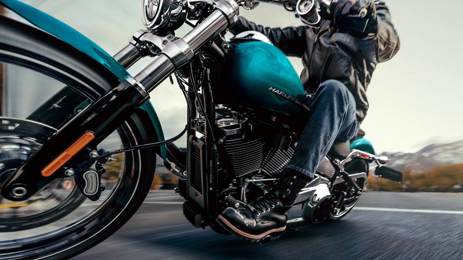 Every Harley-Davidson Cruiser Bike On Sale In 2026