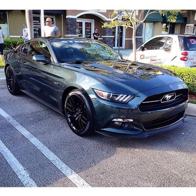 2015 Ford Mustang S550 by Steeda