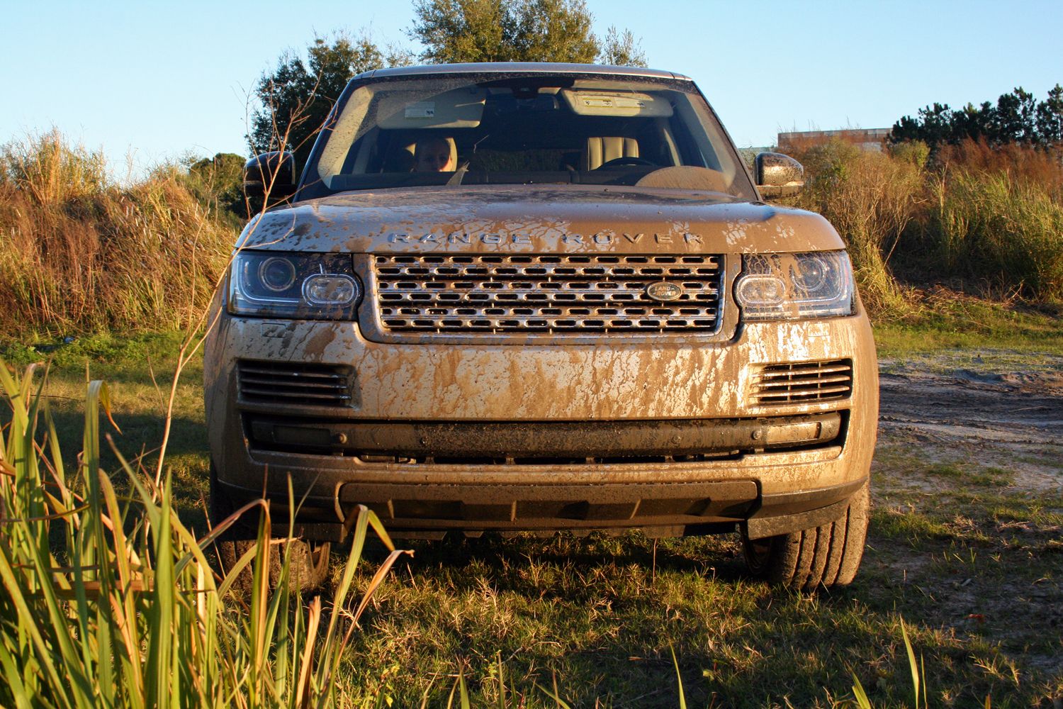 2015 Land Rover Range Rover LWB - Driven
