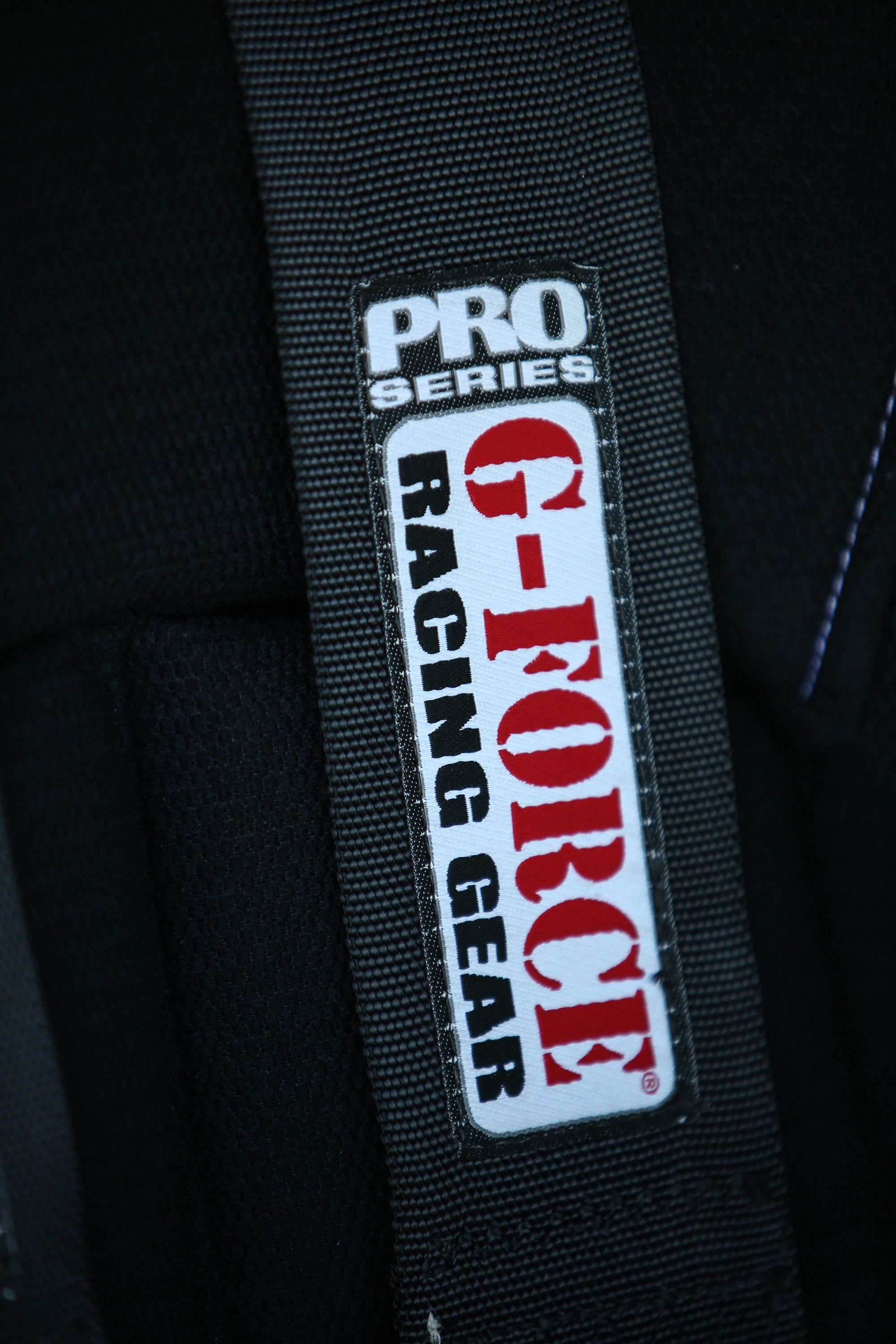 2015 Toyota Sienna R-Tuned Concept