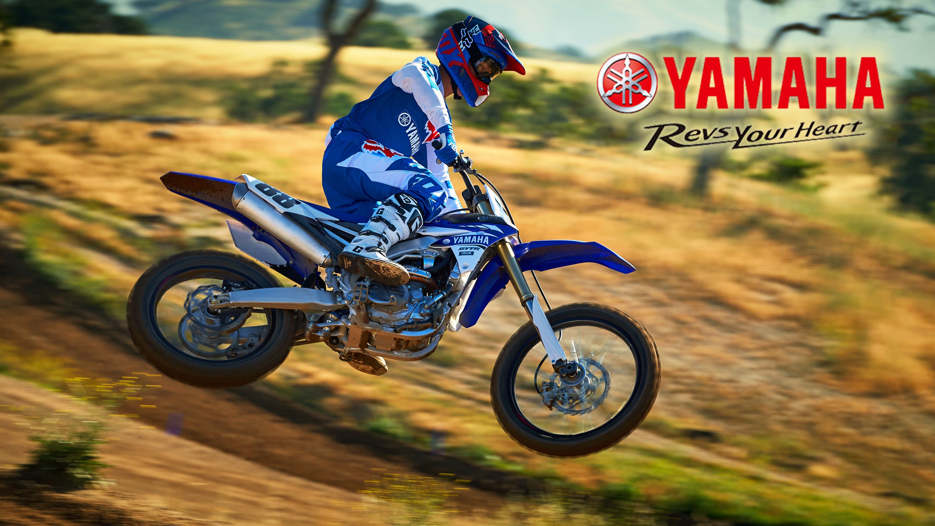 2016 - 2017 Yamaha YZ450F