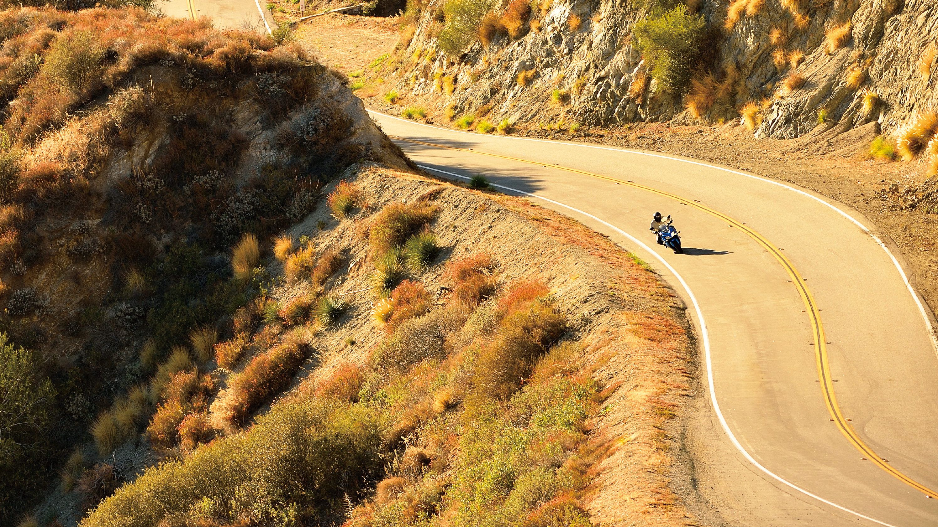 2018 - 2020 Suzuki GSX-S1000