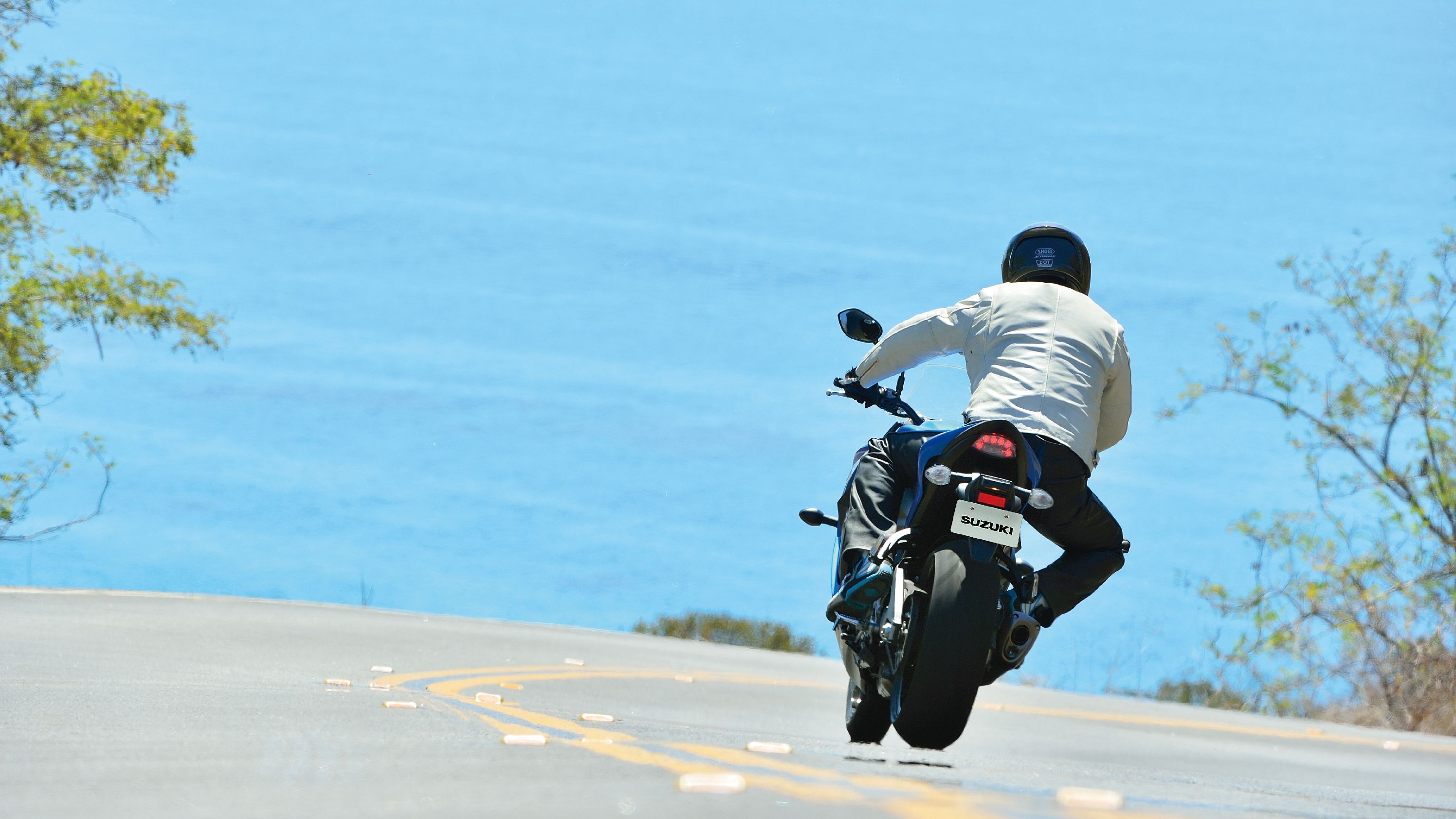 2018 - 2020 Suzuki GSX-S1000