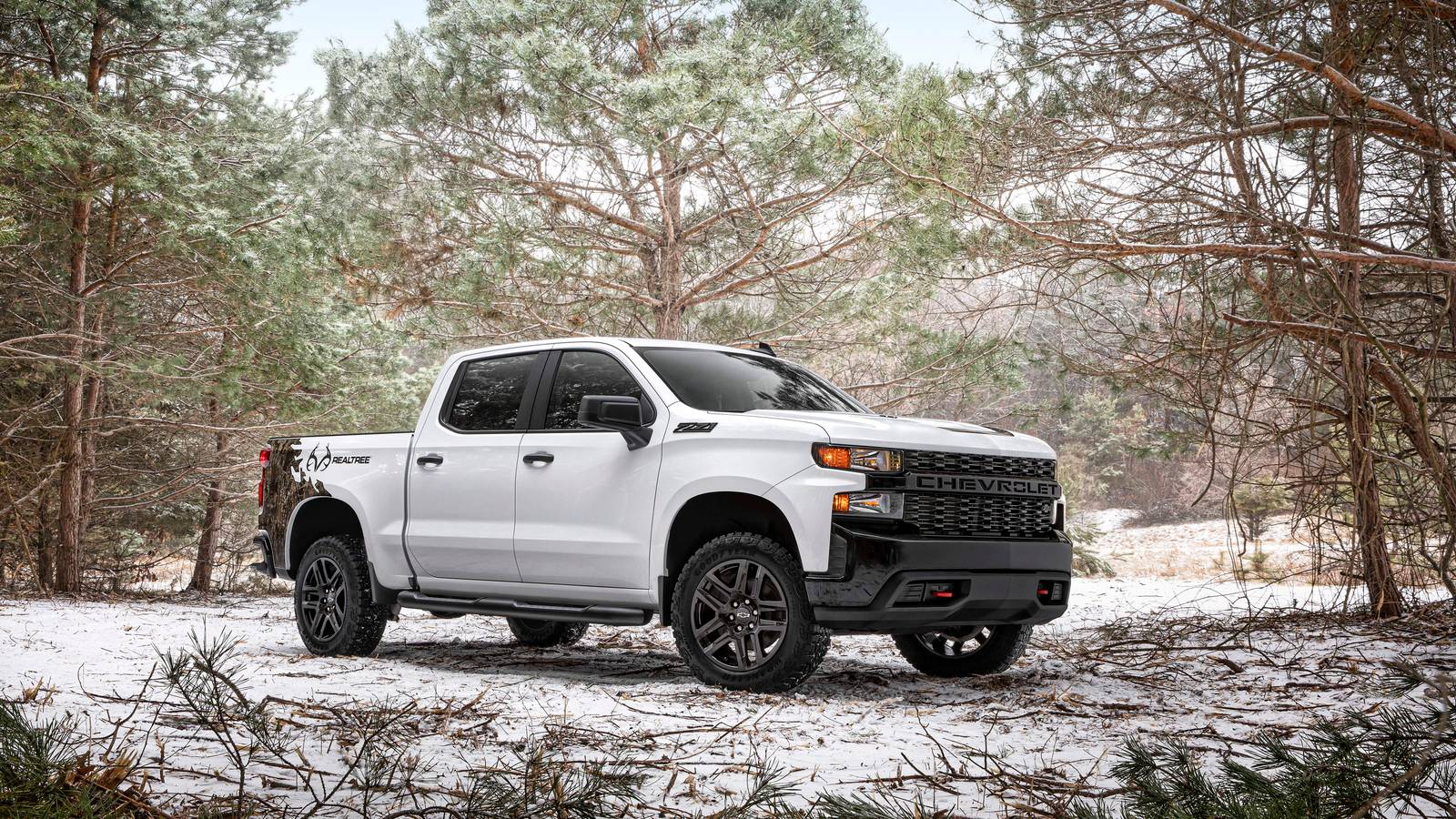 2020 Chevrolet Silverado 1500 Realtree Edition